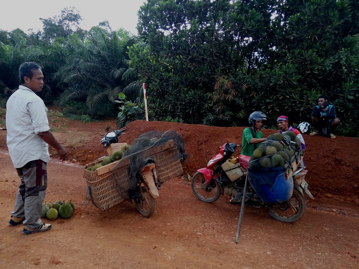 Turne ke Keuskupan Ketapang, Kalbar: Namanya Jalan Bauksit (4) | SESAWI.NET Turne ke Keuskupan Ketapang, Kalbar: Namanya Jalan Bauksit (4) | SESAWI.NET