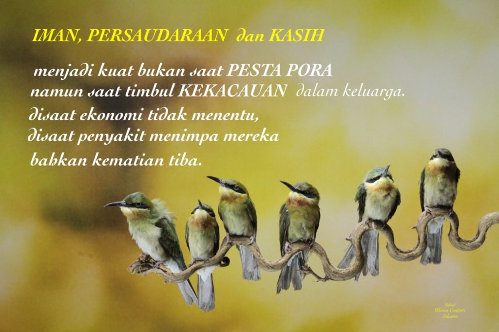 Iman, Persaudaraan, dan Kasih - SESAWI.NET Iman, Persaudaraan, dan Kasih - SESAWI.NET